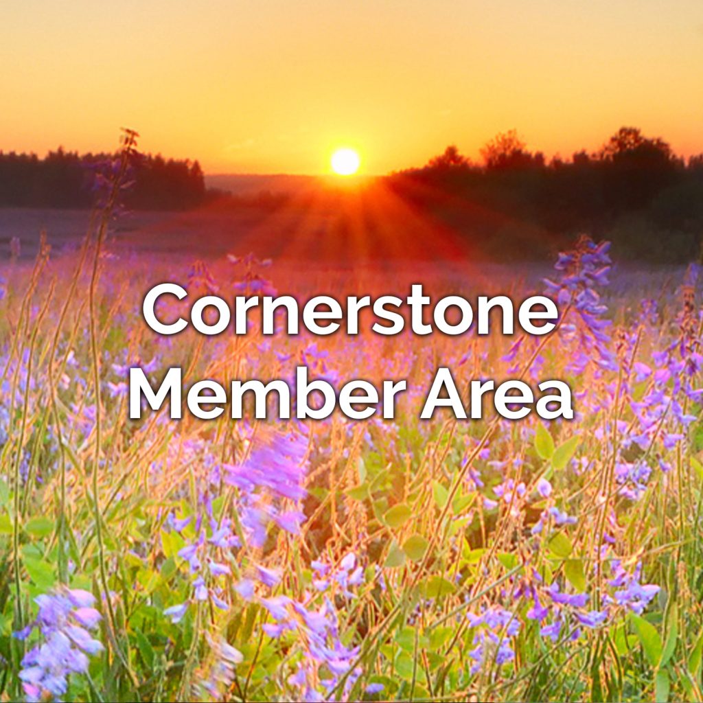 Catholic Scripture Study - The Cornerstone